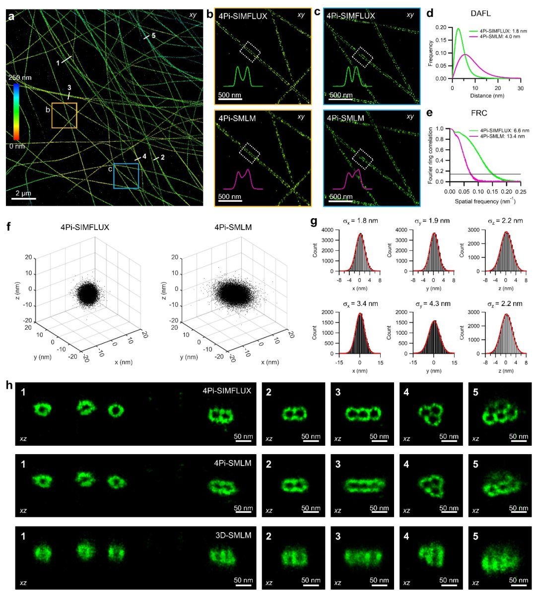生命科学学院章永登团队开发超分辨显微镜4Pi-SIMFLUX
