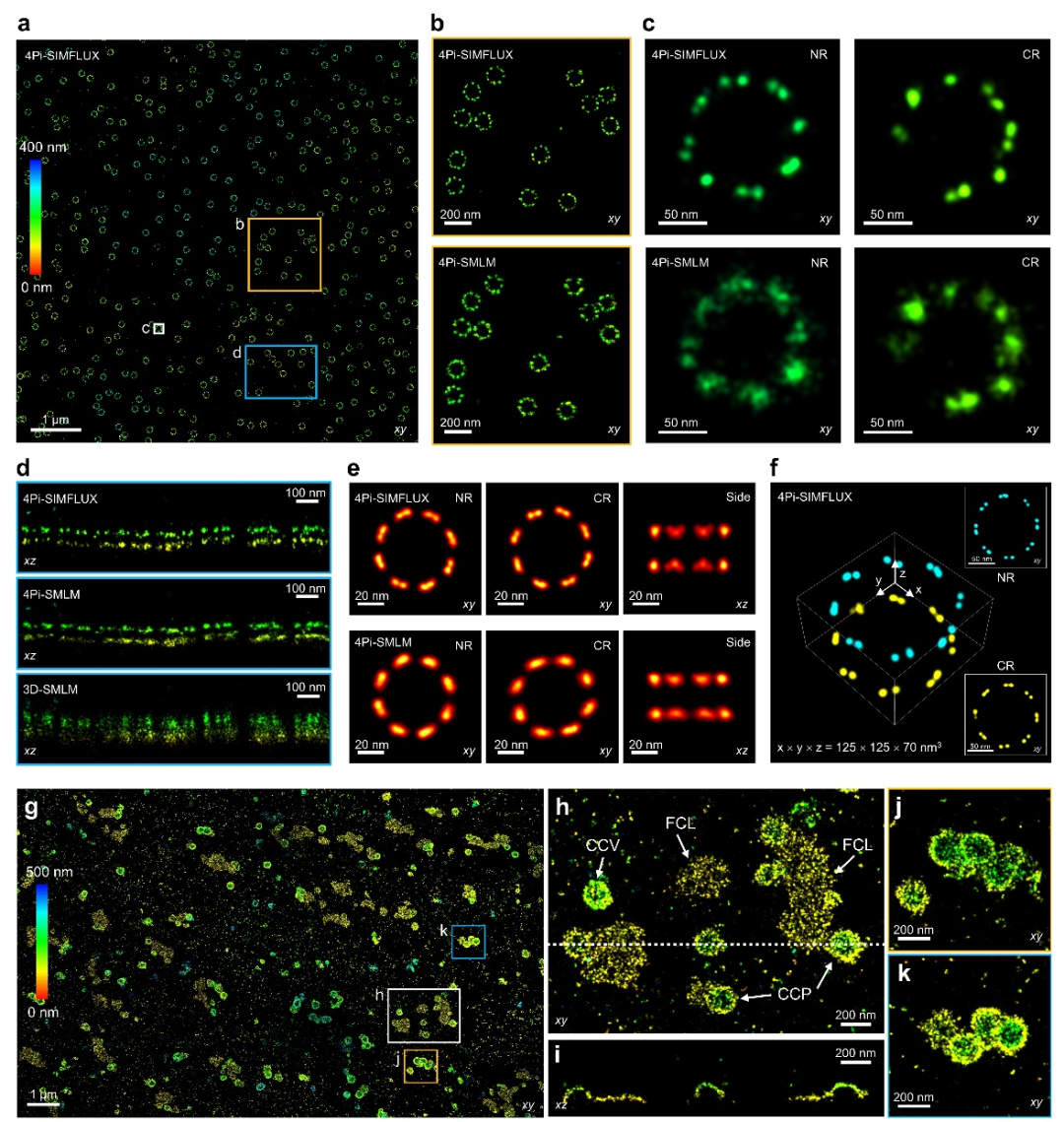 生命科学学院章永登团队开发超分辨显微镜4Pi-SIMFLUX
